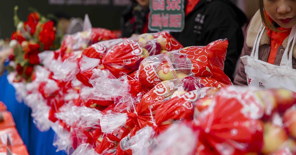 Candine closes a strong season in Asia | News | Fruitnet