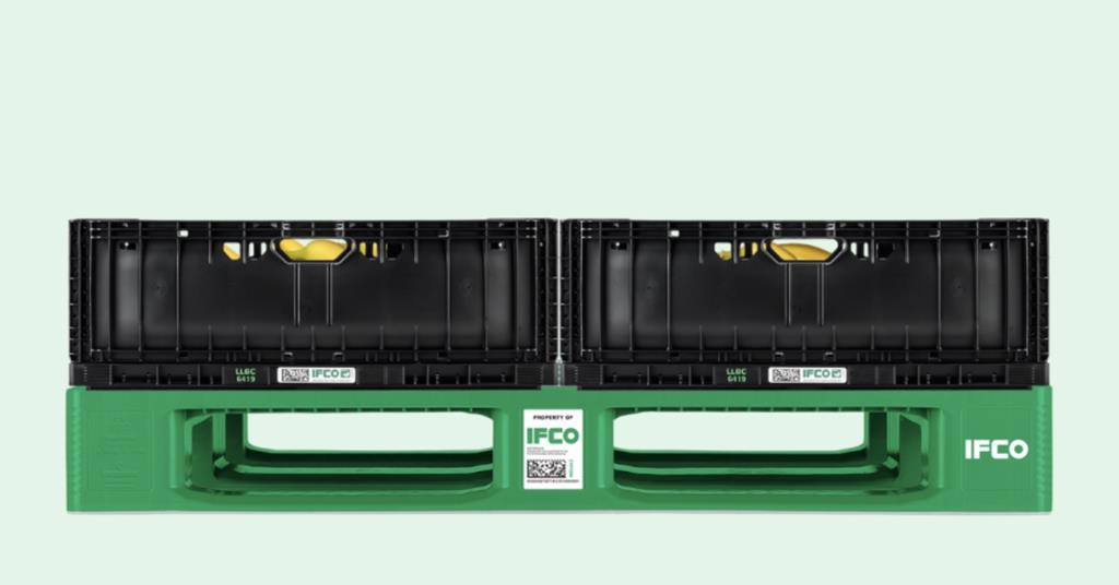 IFCO launches "game-changing" reusable plastic pallet | News | Fruitnet