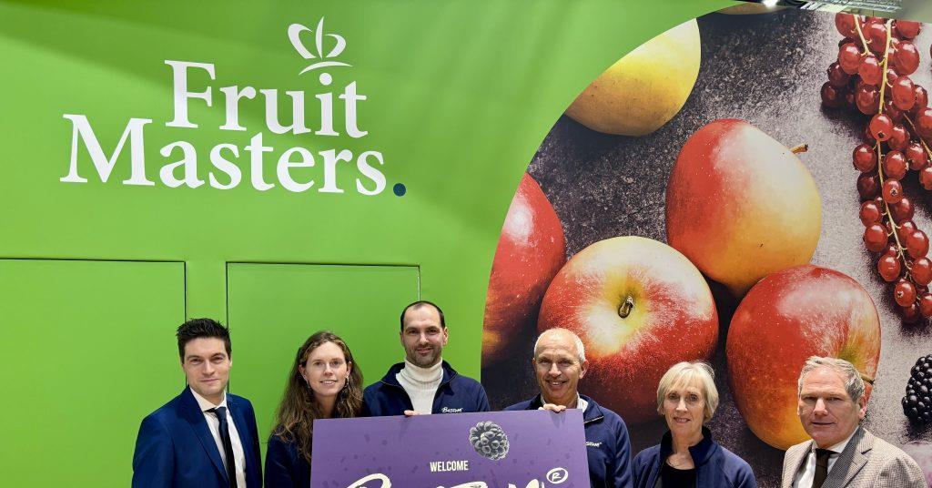 FruitMasters führt neue Brombeersorte Bestum ein | Article | Fruitnet