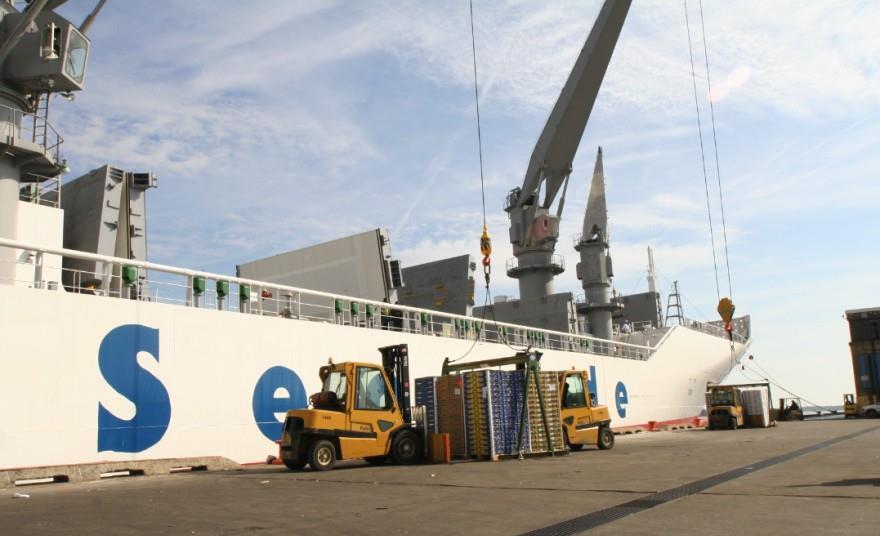 Wilmington welcomes new reefer | Article | Fruitnet
