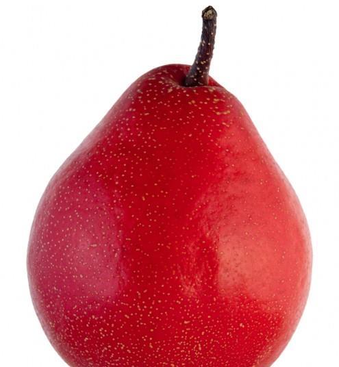 First major Piqa crop due in 2014 | Article | Fruitnet