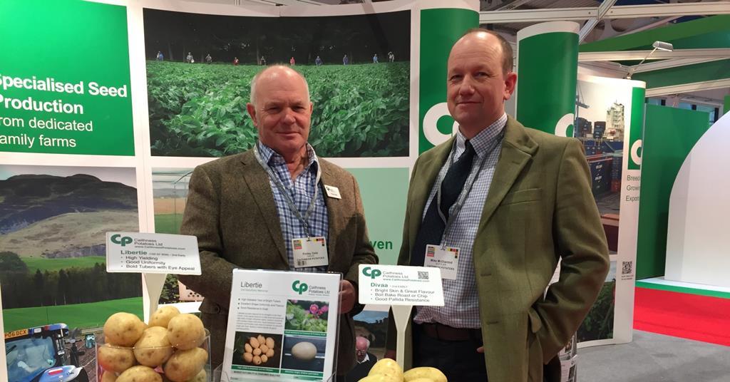 Potato firm calls for grading innovation as wages rise | Article | Fruitnet