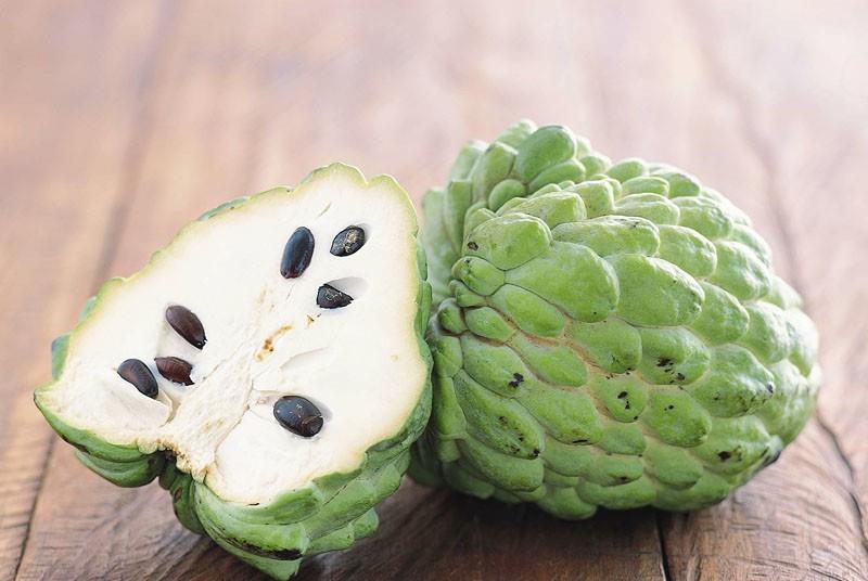 Indian hybrid could enter China | Article | Fruitnet
