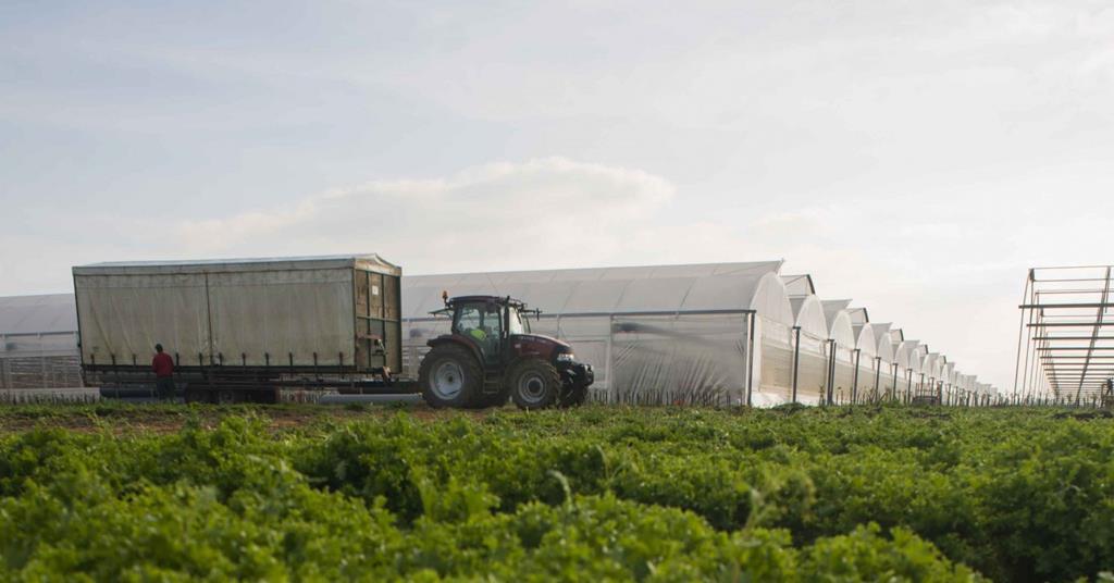 Florette and Jepco launch major joint venture | Article | Fruitnet
