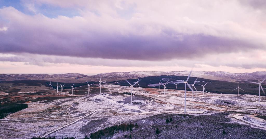 Total Produce UK completes switch to renewable power | Article | Fruitnet