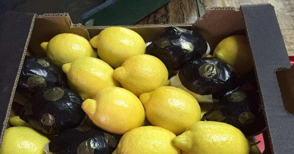 Spanish lemons head for Shanghai | Article | Fruitnet