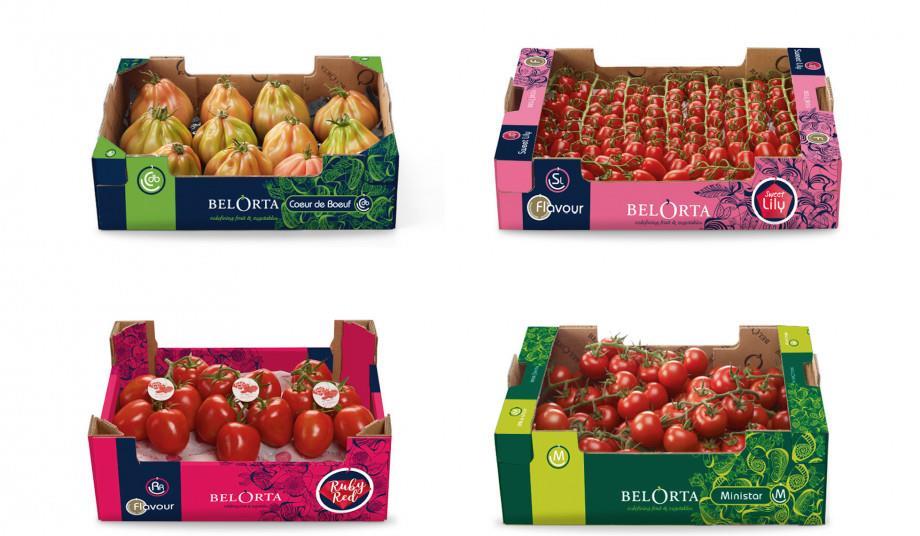 New look for BelOrta tomatoes | Article | Fruitnet