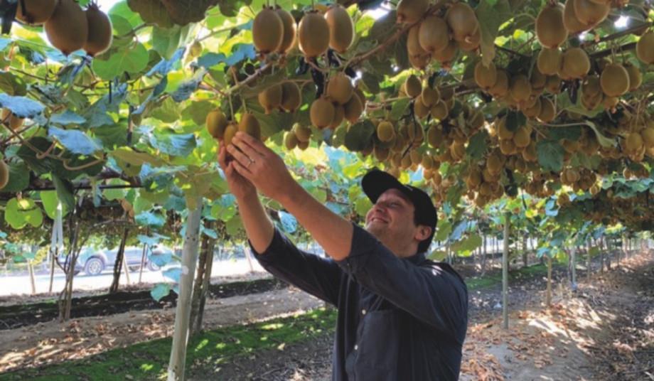 David Del Curto changes hands | Article | Fruitnet