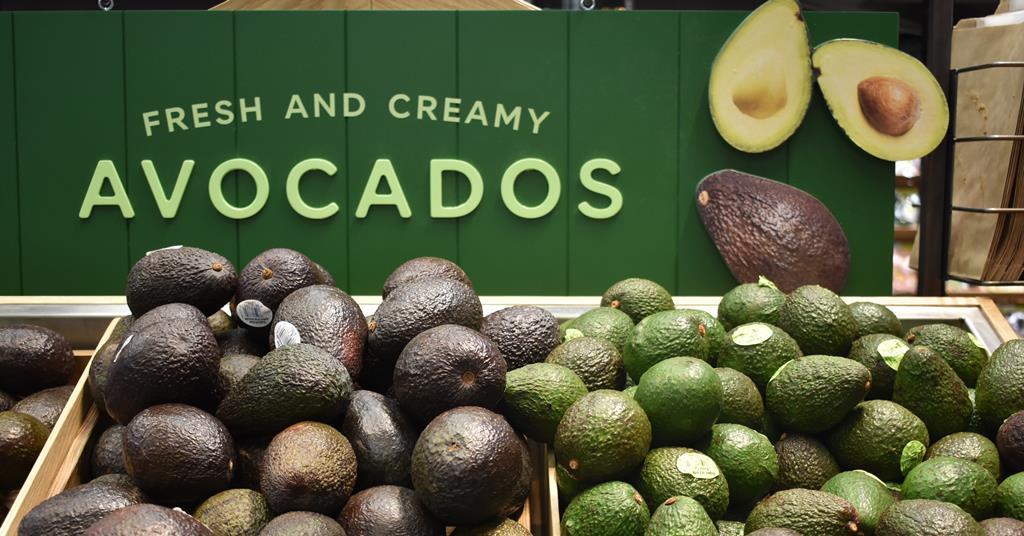 Morocco’s avocado exports continue to increase | News | Fruitnet