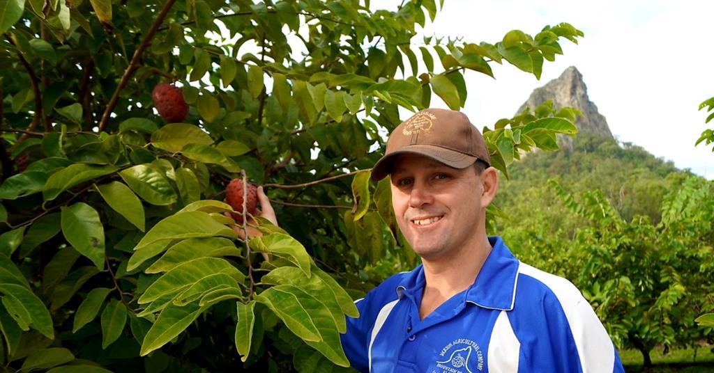 Australian growers hit the small screen | Article | Fruitnet