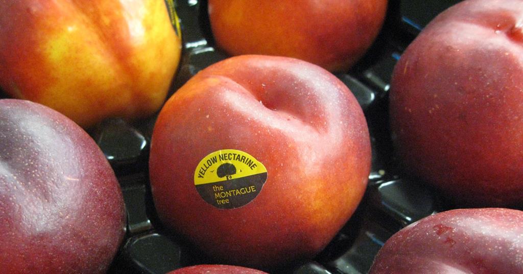 Warm welcome for Australian stonefruit | Article | Fruitnet