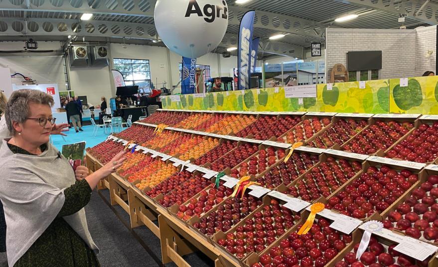 National Fruit Show moves to November | Article | Fruitnet