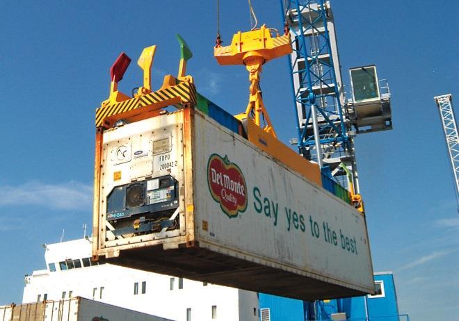 Solar power for Gloucester Marine Terminal | Article | Fruitnet