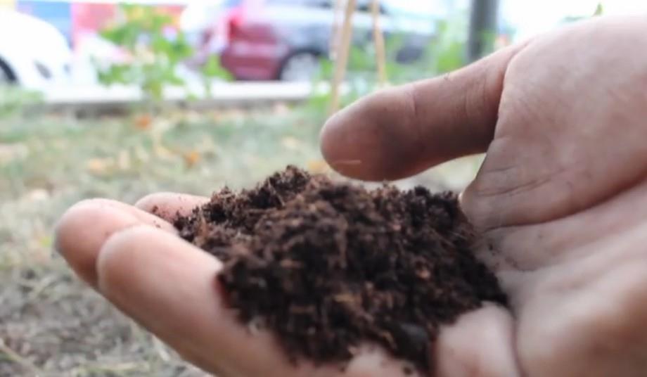 Defra supports £1m project to find peat alternative | Article | Fruitnet