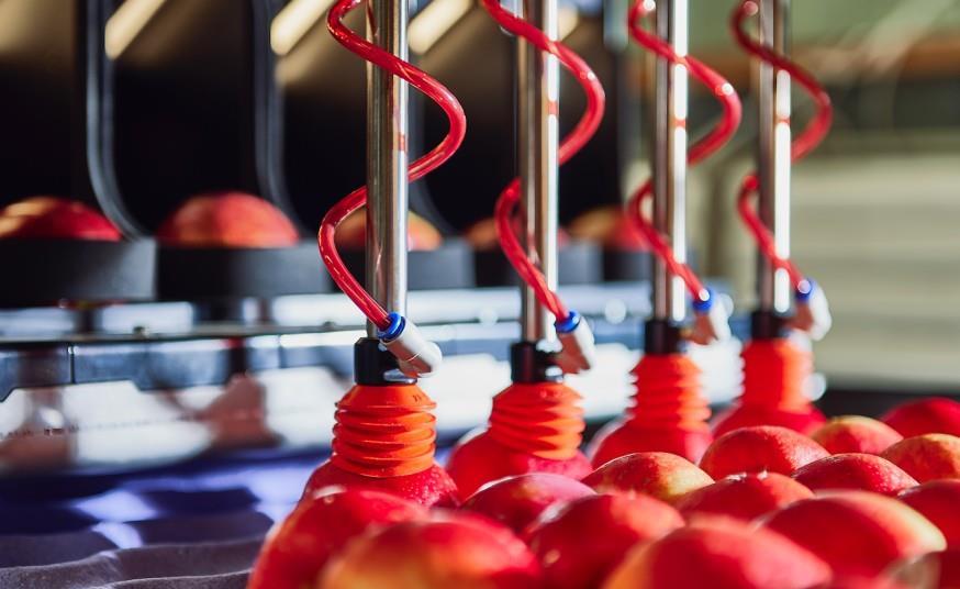 Apple packer to debut | Article | Fruitnet