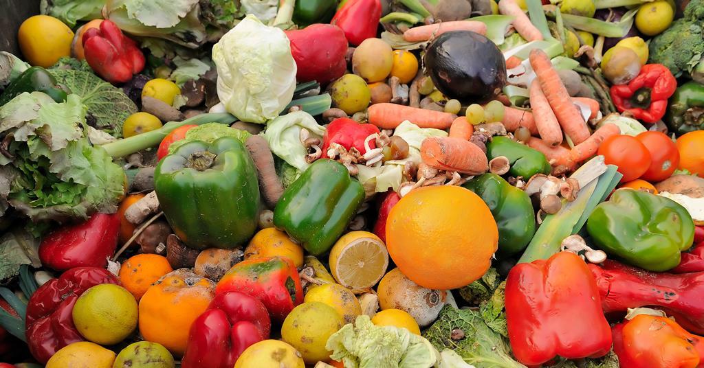 Defra pushes back food waste reporting mandate | News | Fruitnet