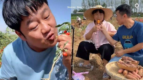 Growers embrace live-streaming in China | Article | Fruitnet