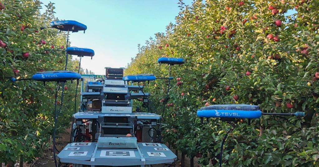 Tevel raises $18m for autonomous fruit harvesting robots | Fruitnet