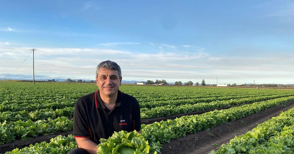 Lettuce growers adapt with Coles | Article | Fruitnet