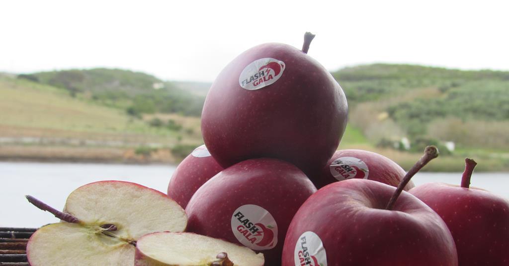 Flash Gala turns heads in China market | News | Fruitnet