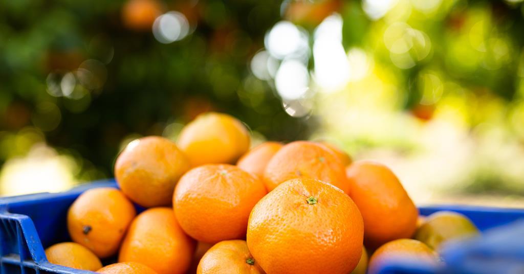 Frustration grows over citrus situation | News | Fruitnet