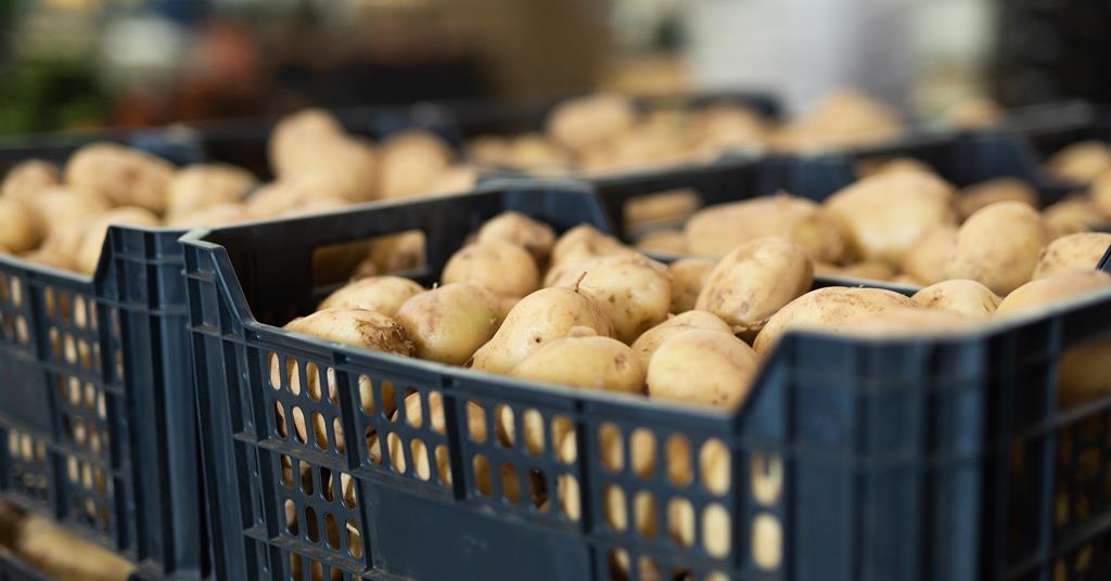 US potatoes secure expanded access to Korea | News | Fruitnet