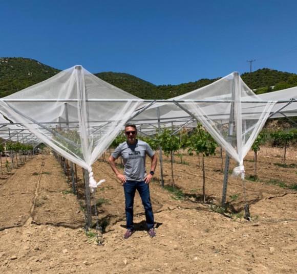 Jupiter pioneers new grape varieties | Article | Fruitnet