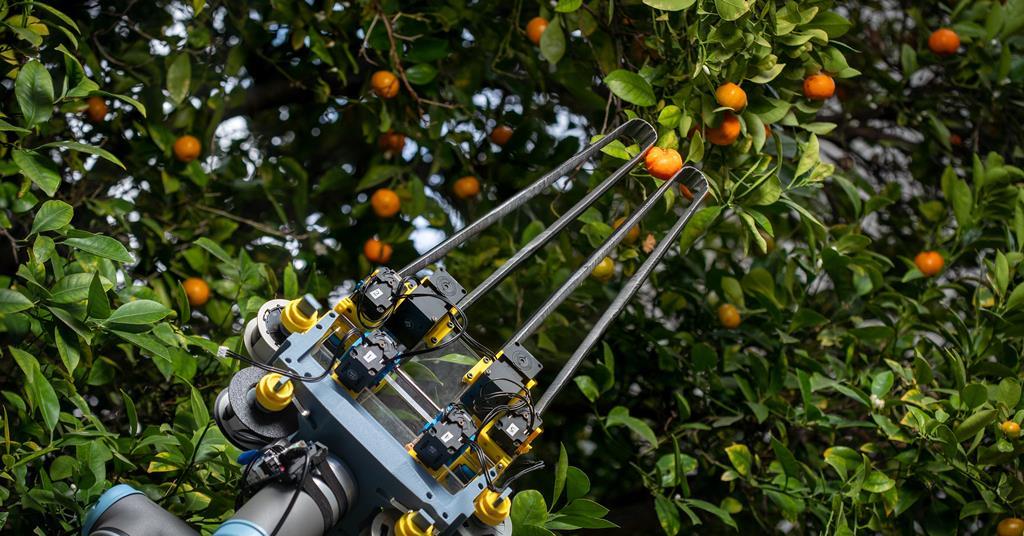 San Diego researchers reveal new robotic picker design | News | Fruitnet