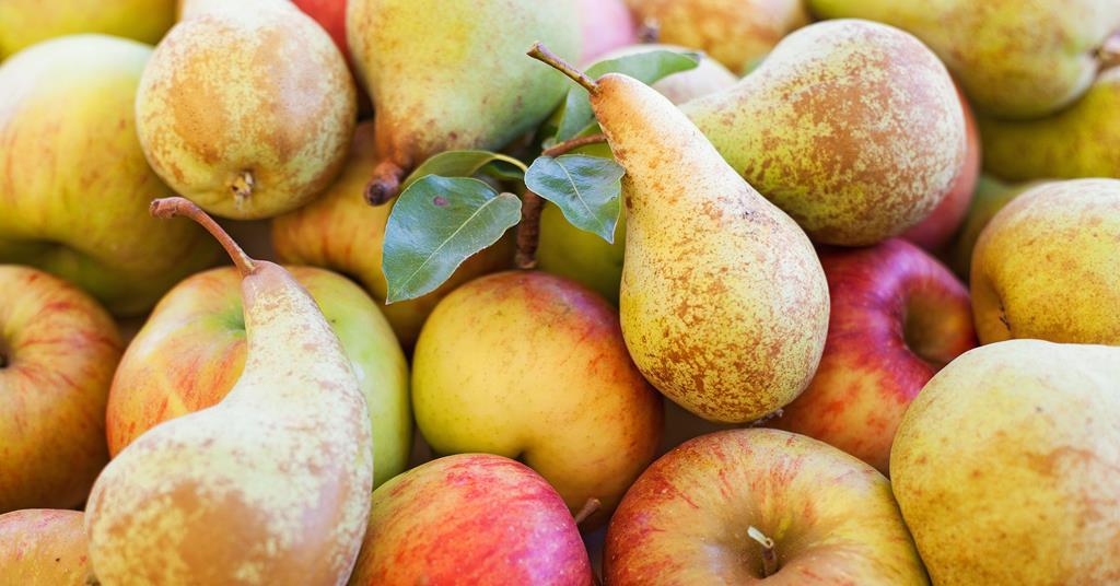 Endlich kostendeckende Apfelpreise? | Fruitnet