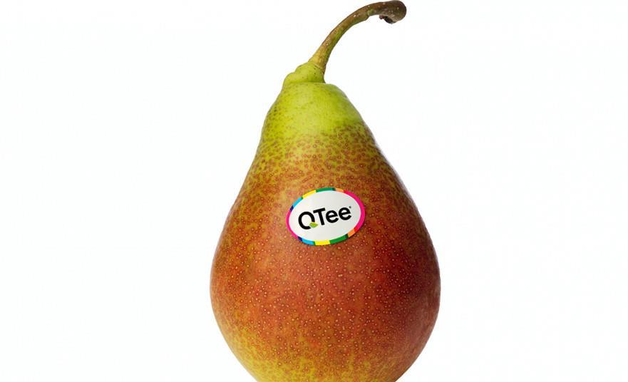 QTee joins BelOrta Earth range | Article | Fruitnet