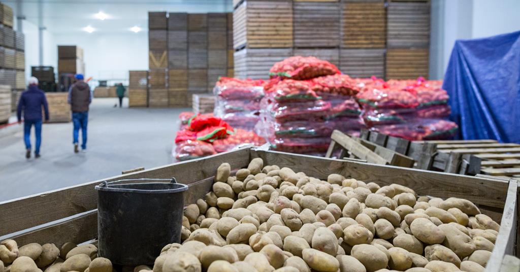 Spain's import trend continued in 2021 | Article | Fruitnet