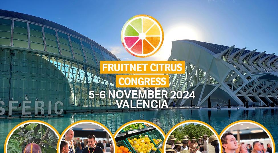 New inspiration needed to boost citrus sales, says Dutch buyer | News ...