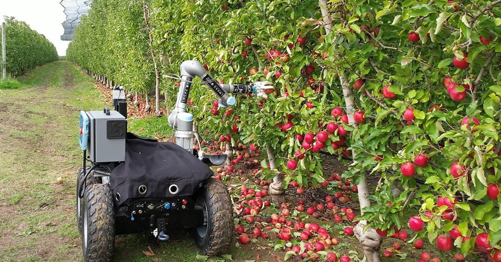 Apple harvesting robot receives recognition | News | Fruitnet