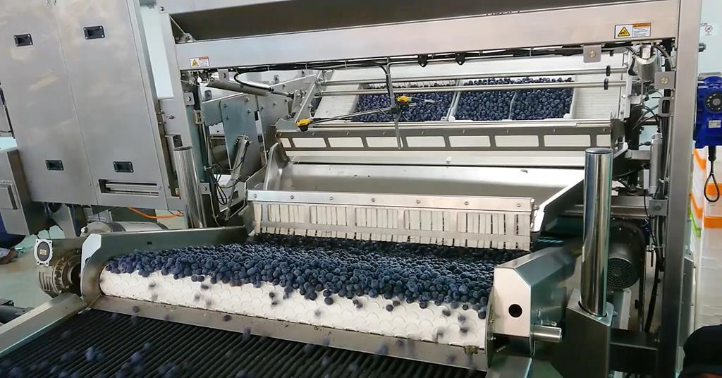 BBC Technologies unveils Tray Tipper | Article | Fruitnet