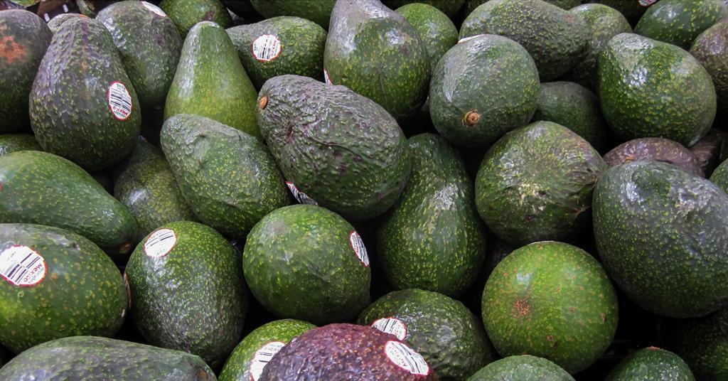 Mexican avocado industry signs federal agreement to ensure all exports ...