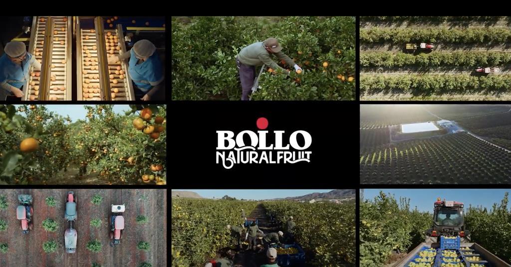 Bollo debuts new corporate video | News | Fruitnet