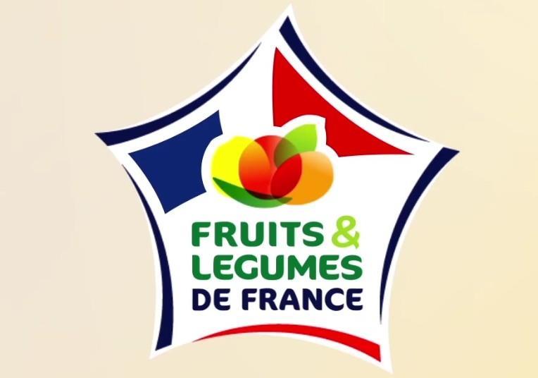 Interfel launches fresh logo | Article | Fruitnet