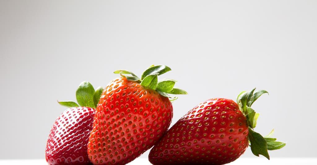 Onubafruit hails positive strawberry campaign | Article | Fruitnet
