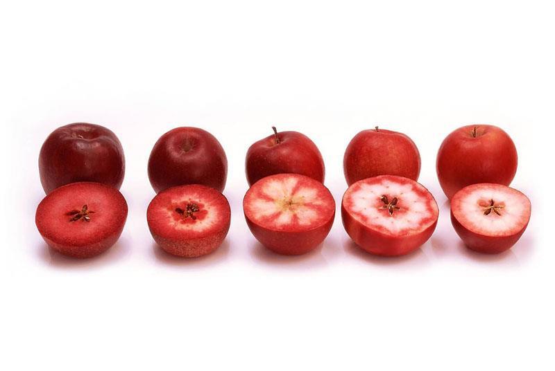 Australian potential for red-fleshed apples | Article | Fruitnet