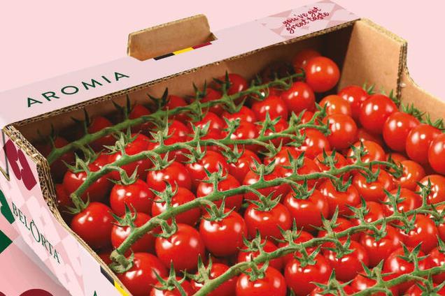 BelOrta launches Belgian Aromia cherry vine tomato | News | Fruitnet