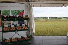 Elsoms to unveil new crop varieties | Article | Fruitnet