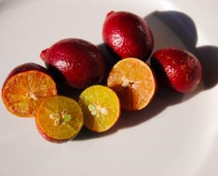 Special Fruit offers red limes | Article | Fruitnet