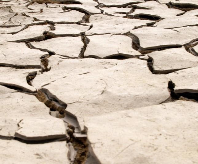 Russia drought ‘worst in decades’ | Article | Fruitnet