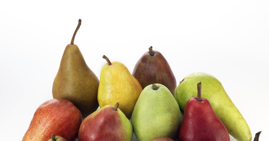 USA Pears hosts culinary competition | Article | Fruitnet