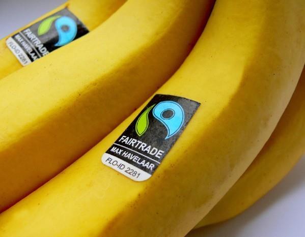 Co-op to source only Fairtrade bananas | Article | Fruitnet