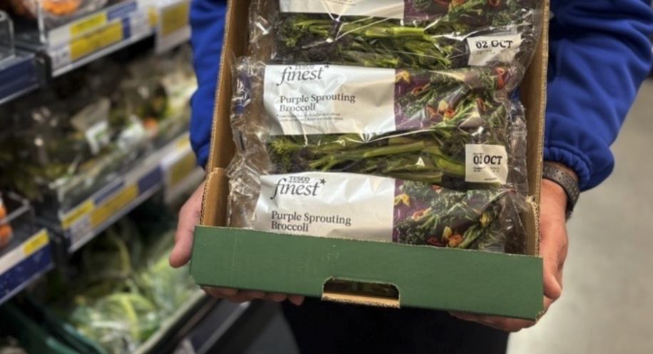 Low-carbon British broccoli hits shelves at Tesco | News | Fruitnet