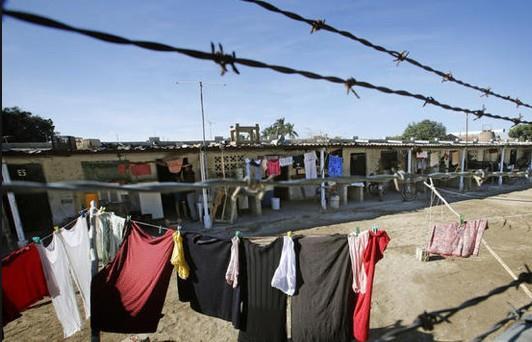 Rene Produce hits back at labour abuse claims | Article | Fruitnet