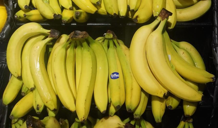 Fyffes outlines human rights plan | Article | Fruitnet