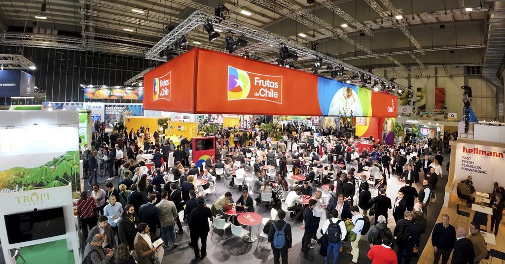 Chilean fruit industry unites under new brand | News | Fruitnet