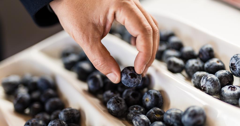 Berry business bursting with potential | Features | Fruitnet